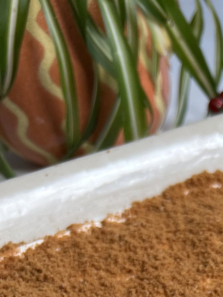 Plant Based Biscoff Tiramisu